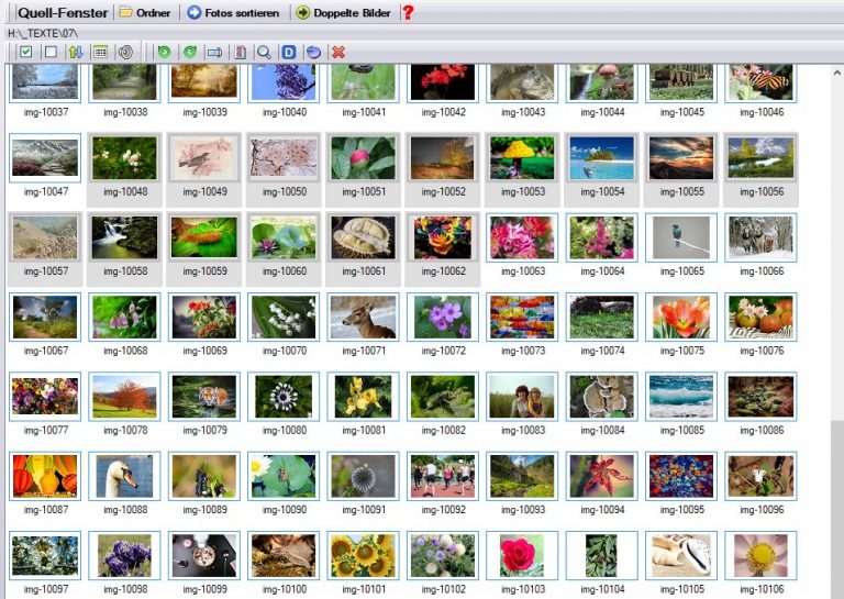 Einfaches Programm zum Bilder sortieren für Windows